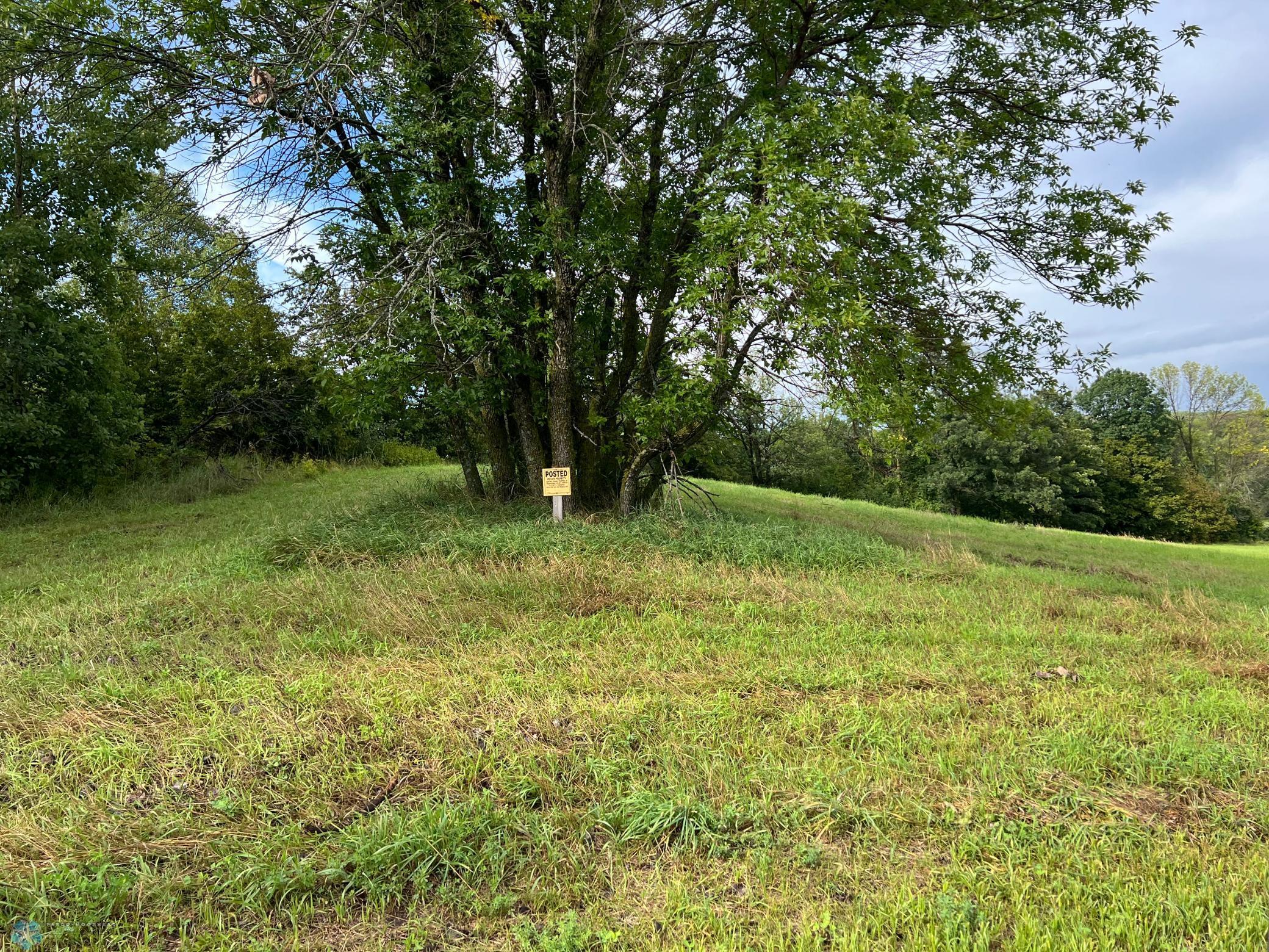 Newsfeed | Michael Carlson